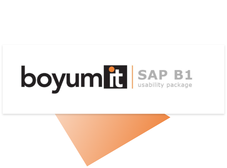 Boyum it - IDEAN, Consultores especializados en Business Intelligence